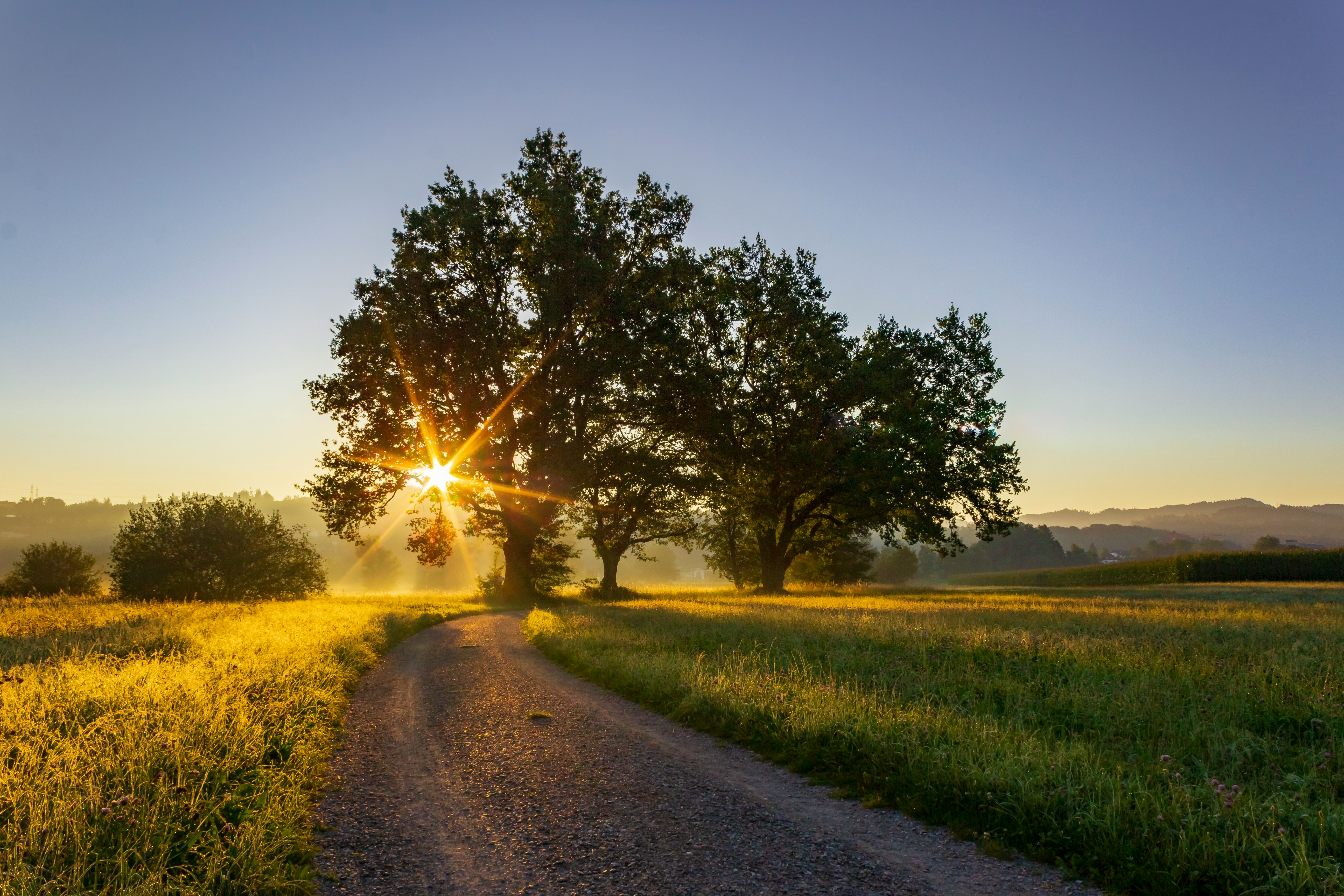 Finding a "Climate Reset": Four Perspectives on the Path Forward ...